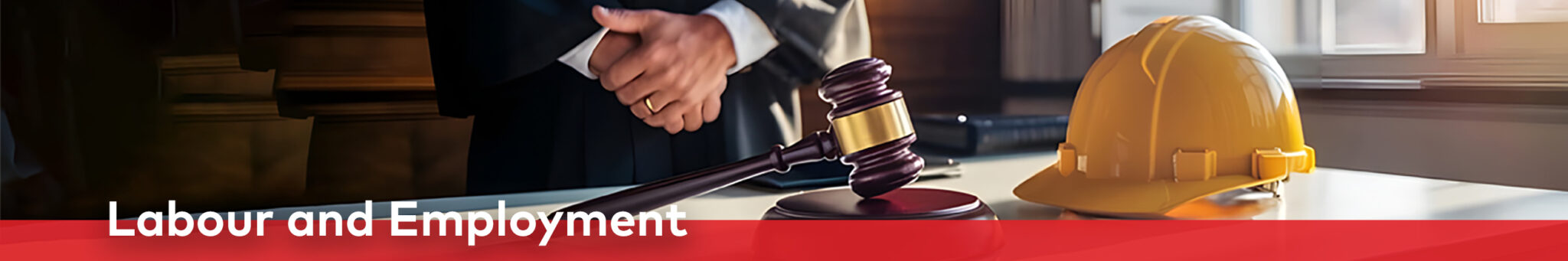 Labour and Employment – DSK Legal : True Value, True Values